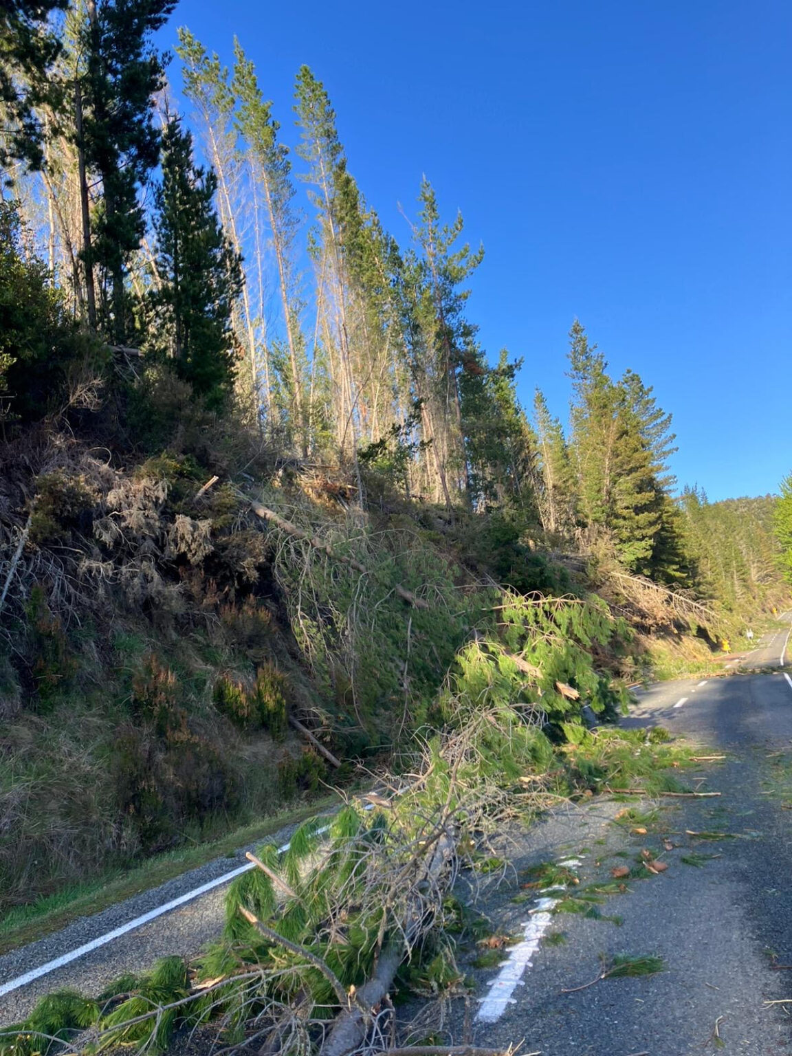 Interbloc Enables Rapid Reopening of State Highway 6 After Major Storm ...